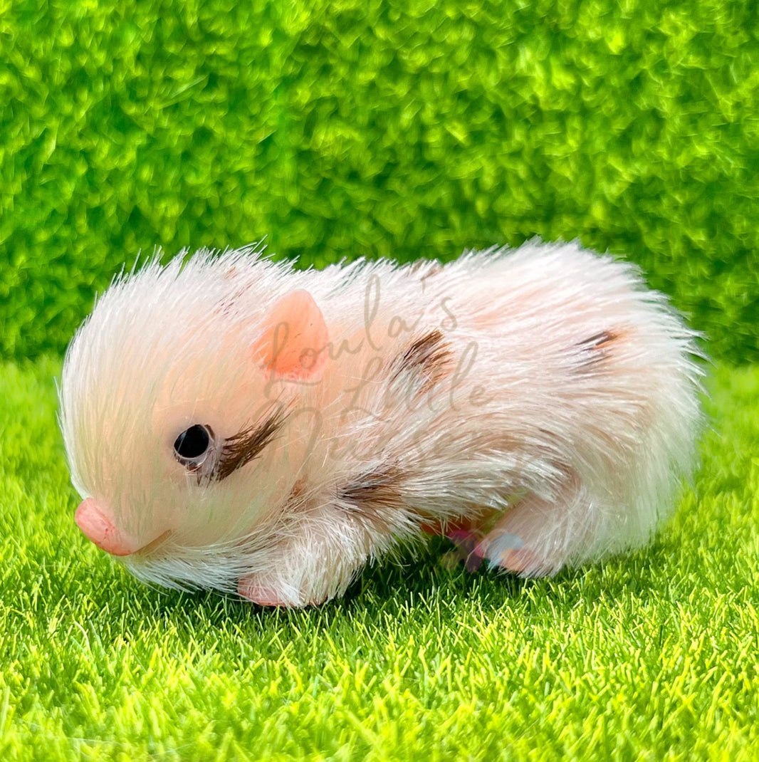 Home To Collectible Pets | Shop Silicone Animals, Plushies And Gifts ...