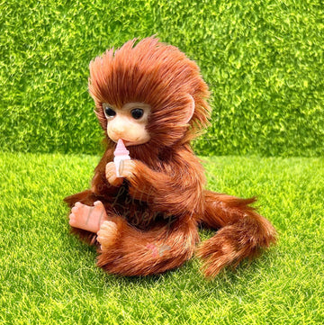 New Arrivals – Loula’s Little Nursery