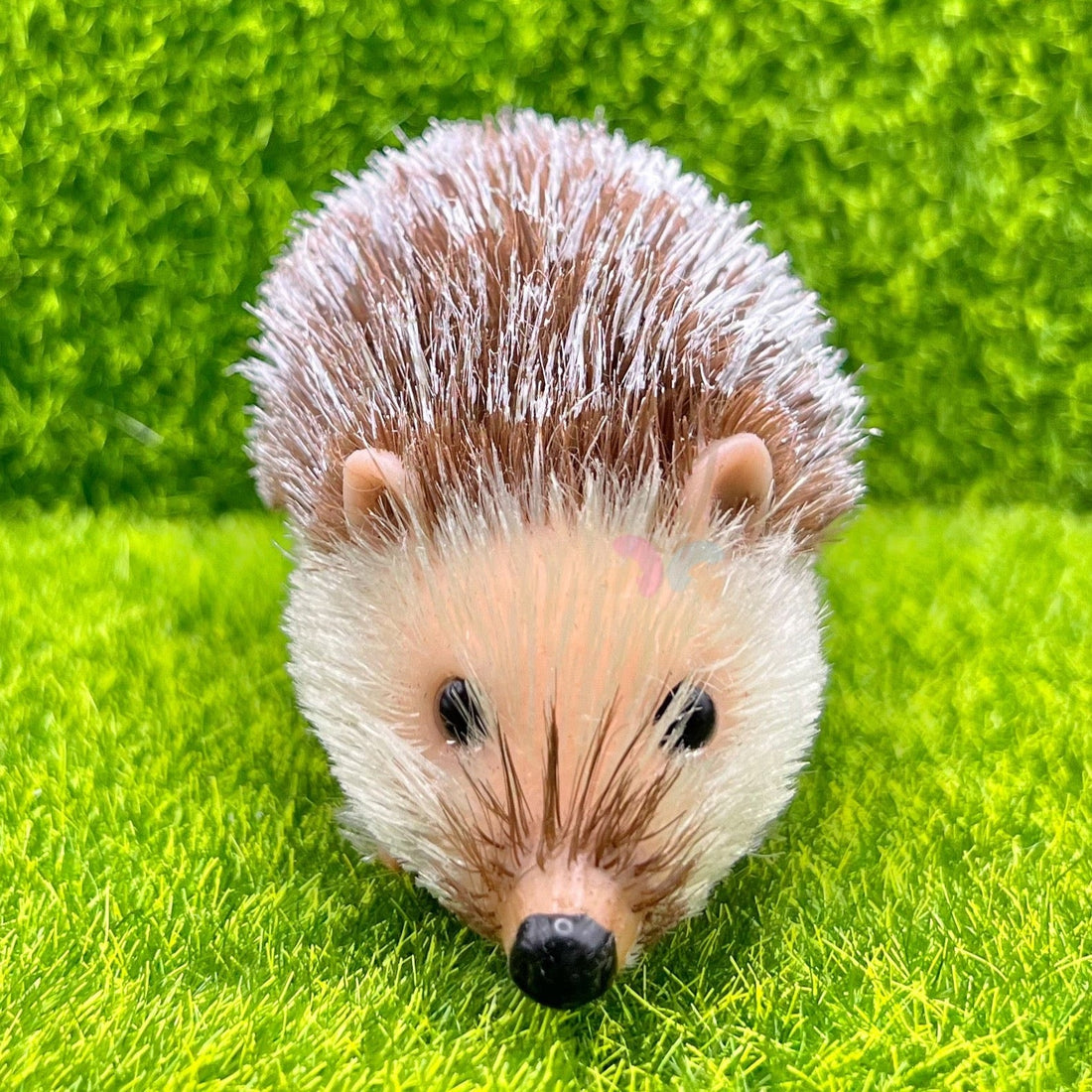 Hazel Spikes Hedgehog (due to be born in up to 6 weeks+) – Loula’s ...
