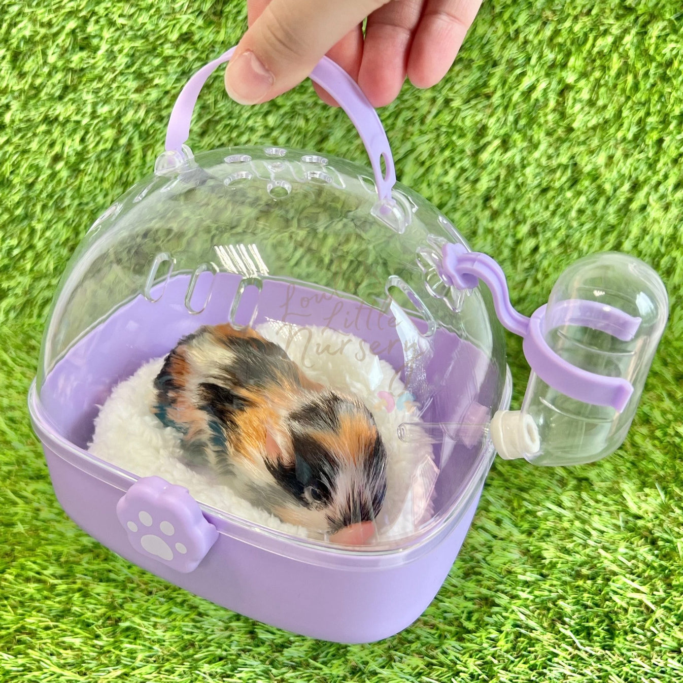 Lockable Paw Cage – Loula’s Little Nursery